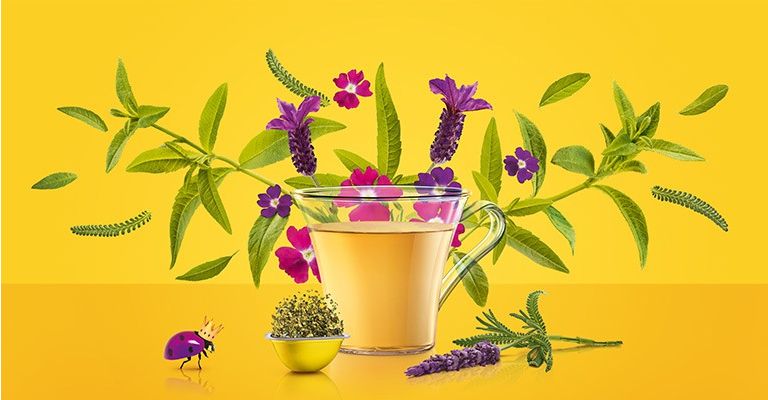 Verbena - Infusion en capsules - SPECIAL.T by Nestlé